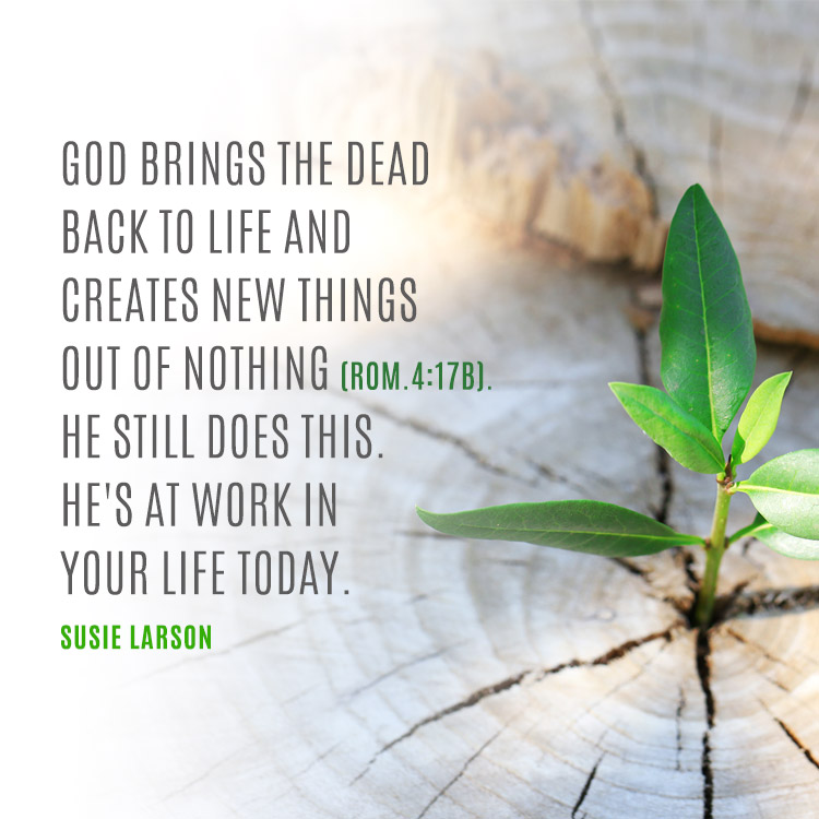 God brings the dead back to life and... - SermonQuotes