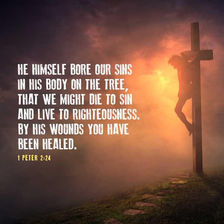 Sermonquotes Page 53 Of 639 Sermon Quotes To Inspire And Encourage