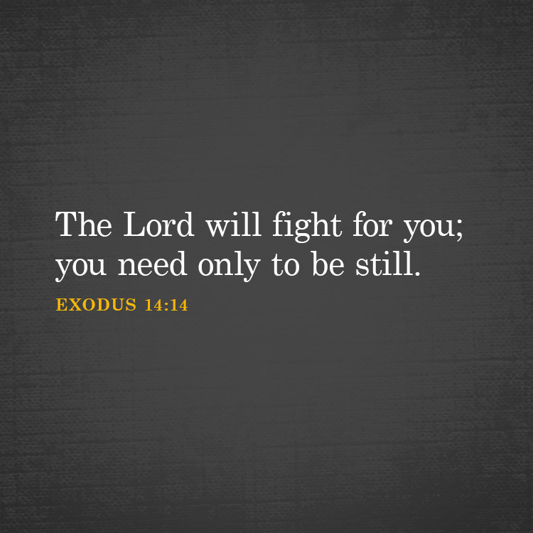 The Lord will fight for you; you need only to be still. - SermonQuotes