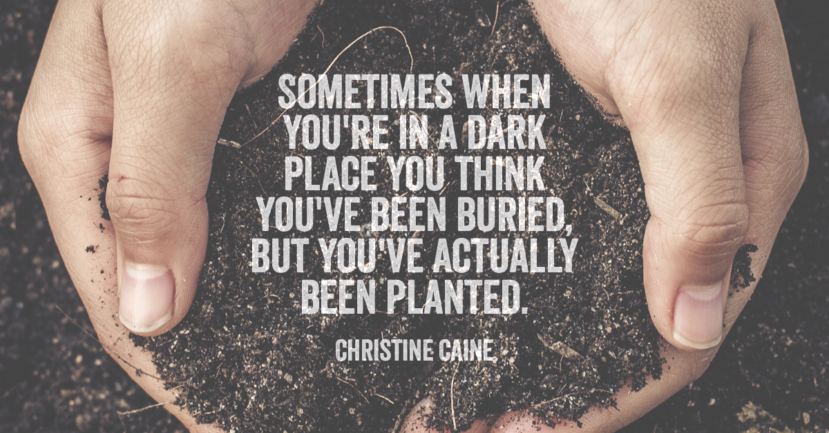 Sometimes when you're planted in a dark place you think you've been ...